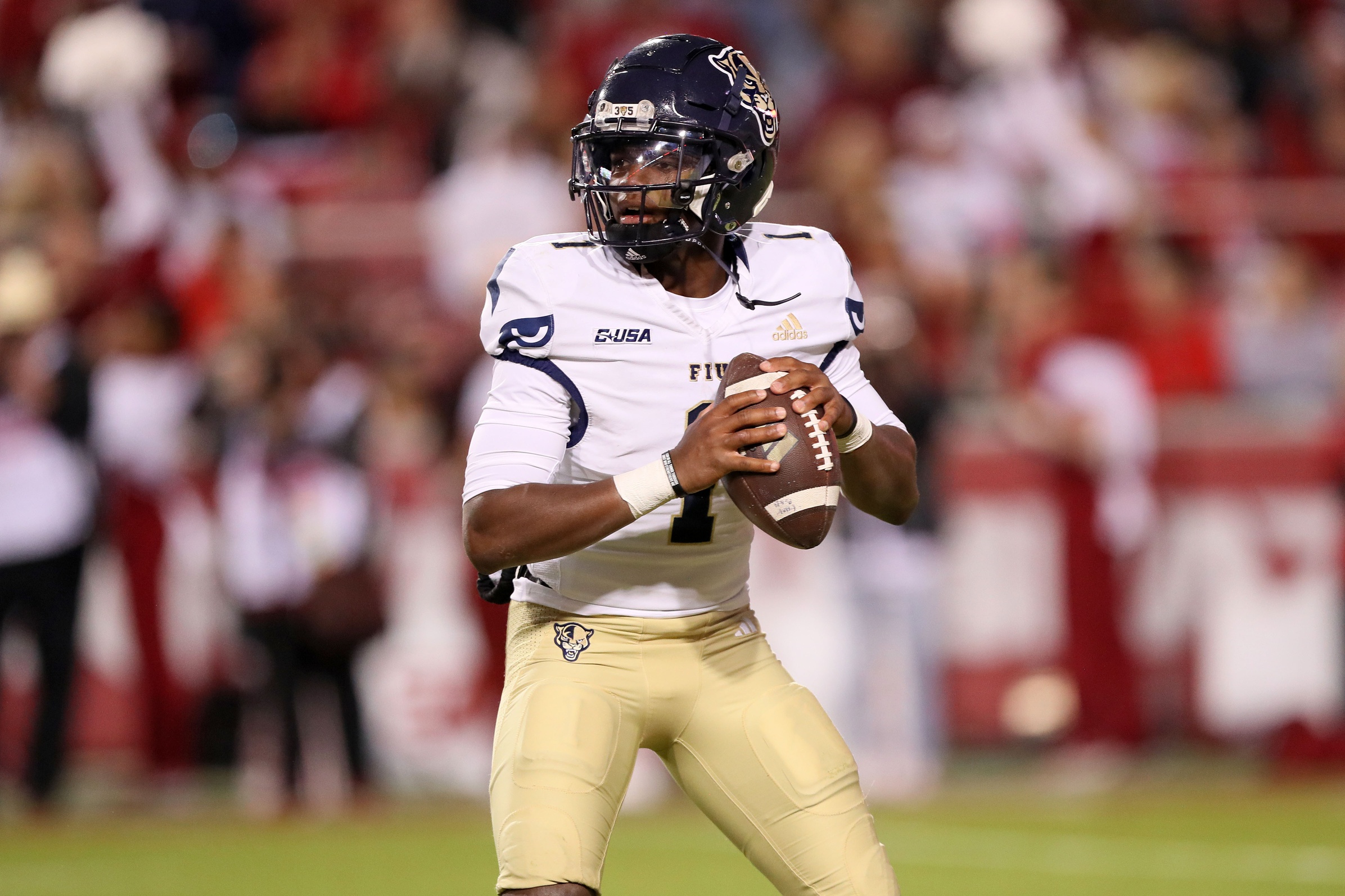 FIU Panthers Football 2024 Predictions and Preview - VSiN