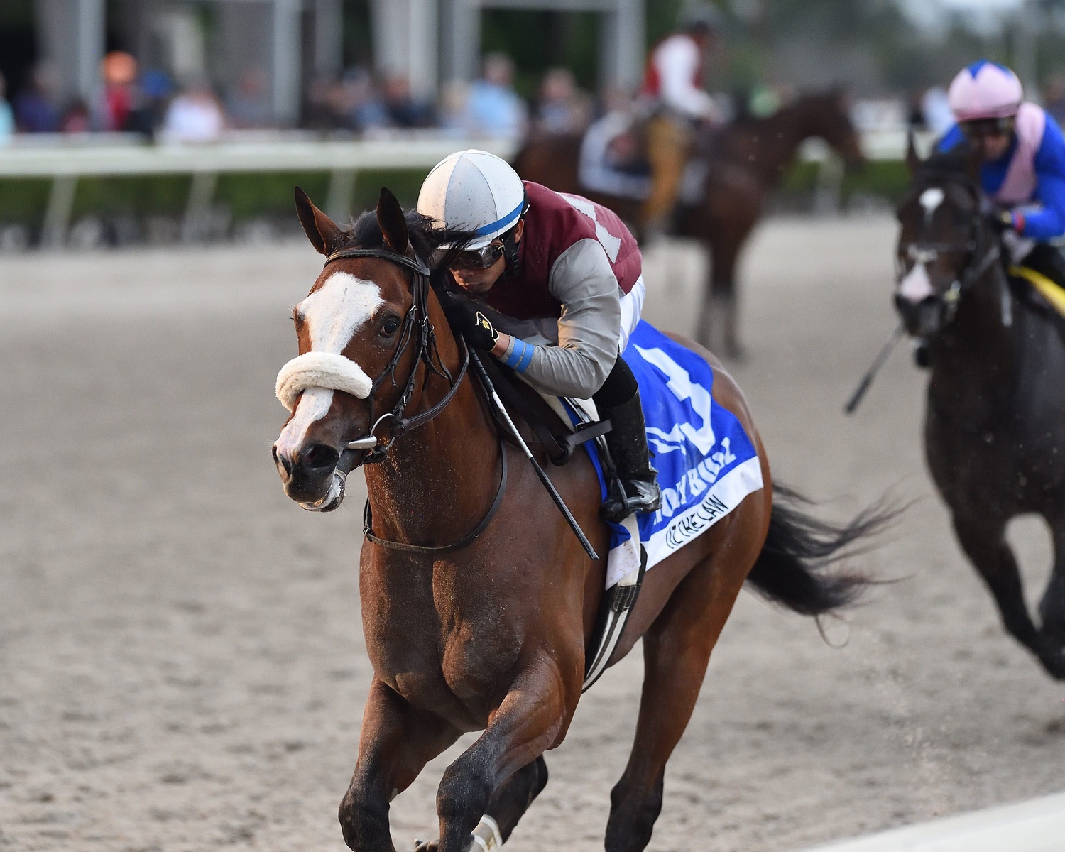 Tuley's Thoroughbred Takes: Florida Derby and Louisiana Derby - VSiN