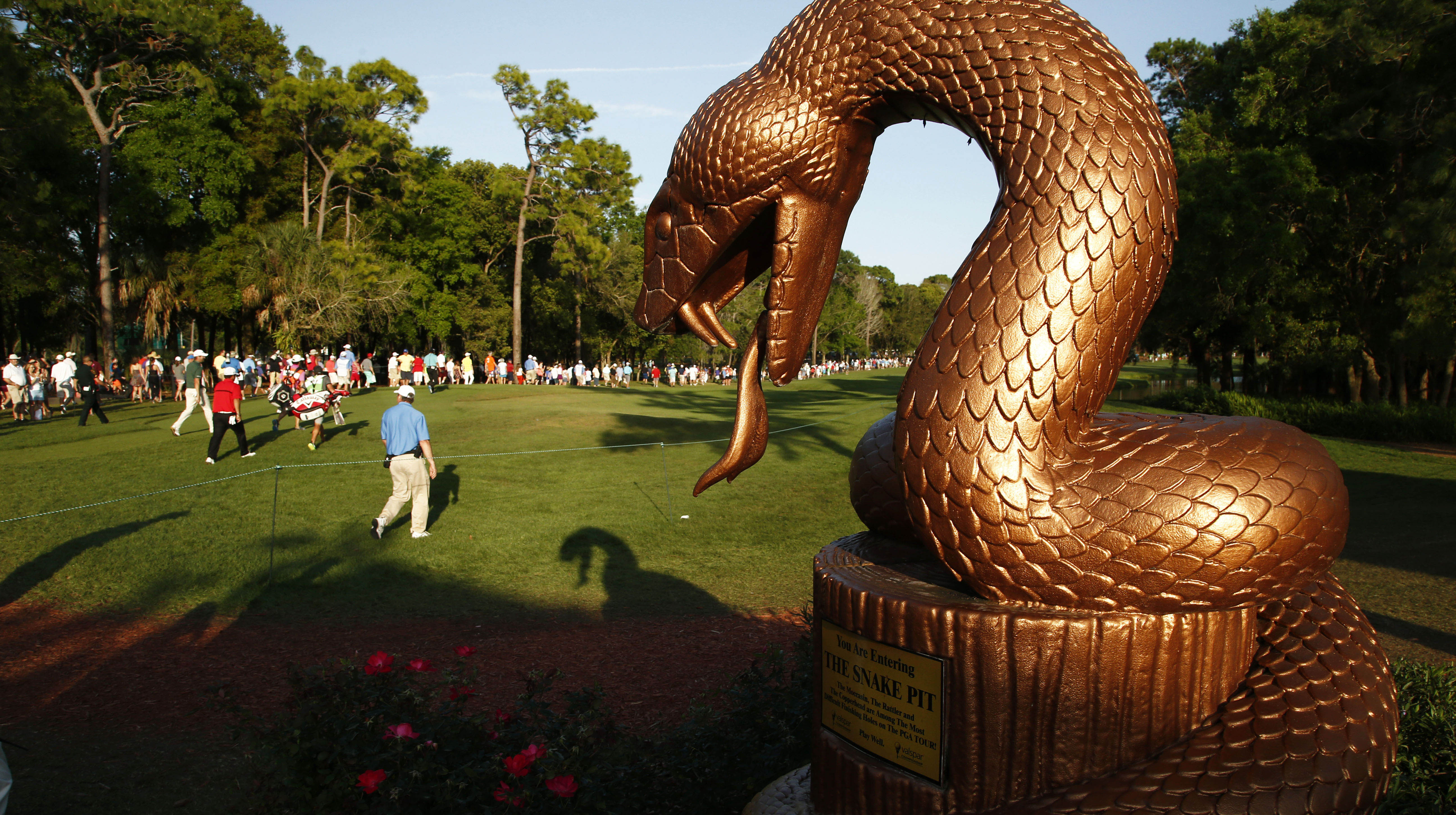 Valspar Championship Best Bets and Golf Odds - VSiN