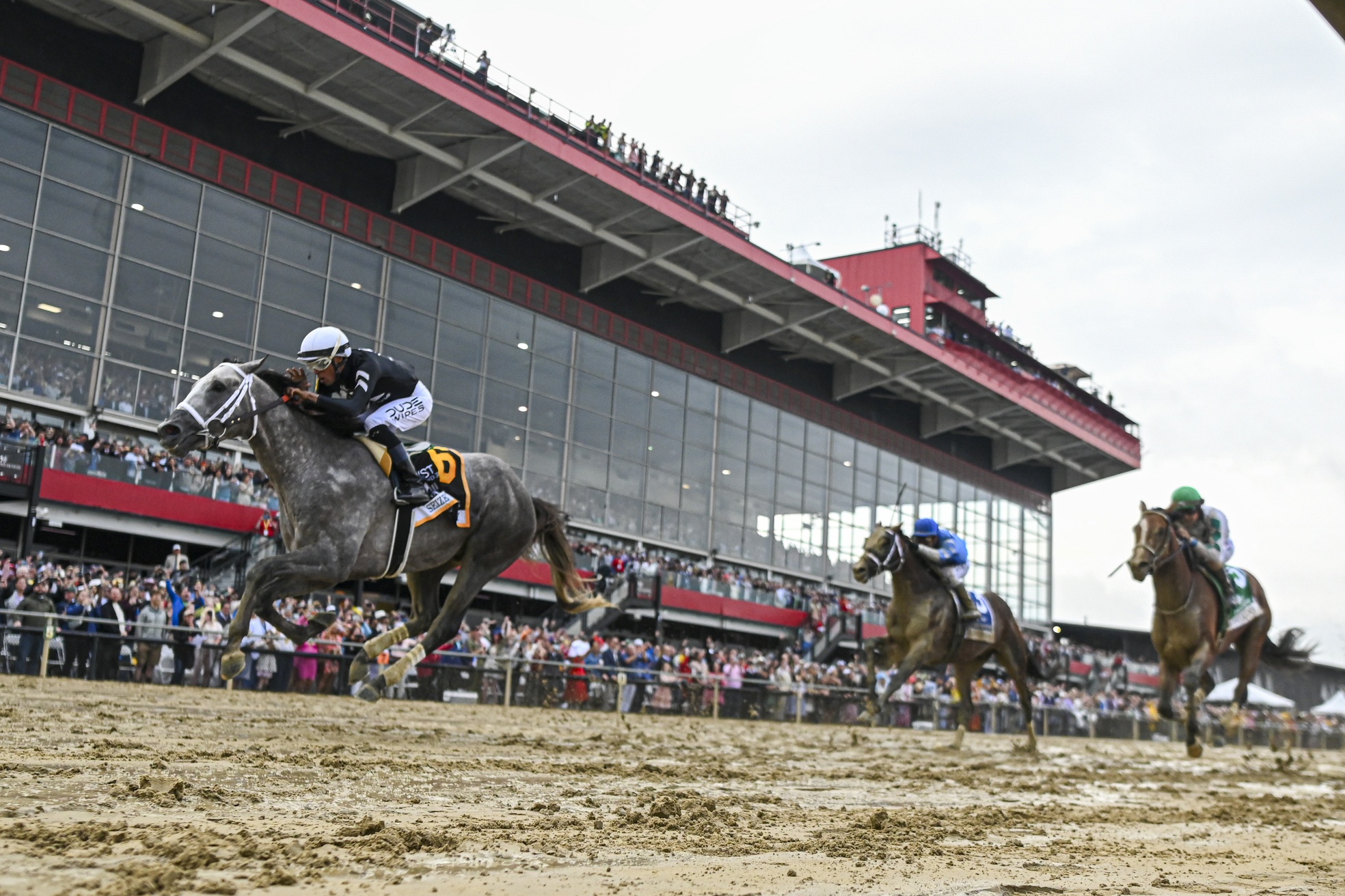 Preakness Stakes Field: Horses, Jockeys, Trainers, and Mr. Ed's Takes ...