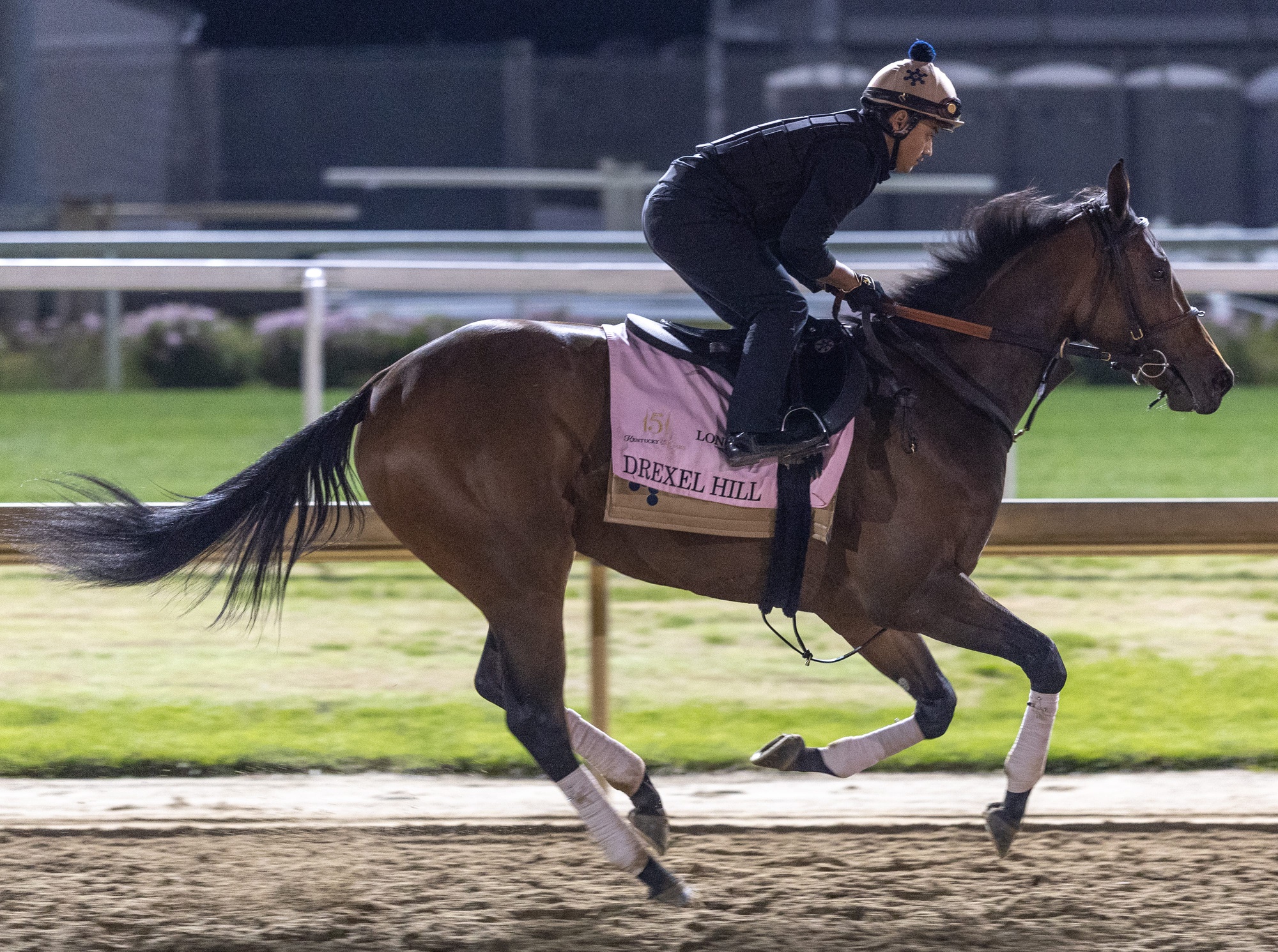 Mother Goose Stakes 2025 Picks, Entries, and Odds