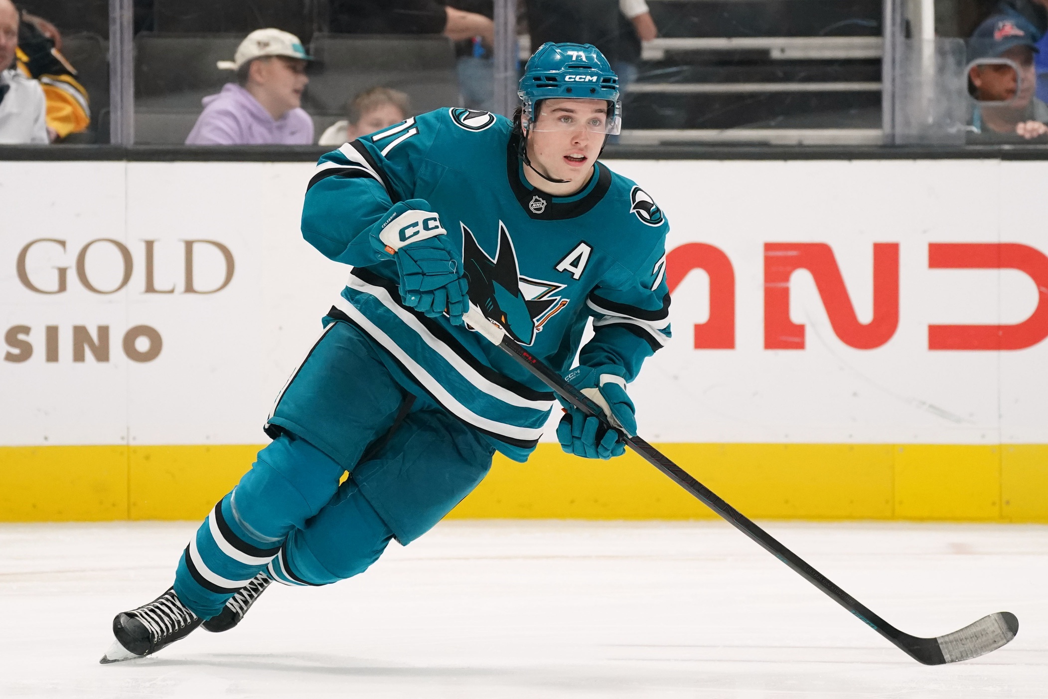 NHL Predictions: Expert Picks on Wednesday, November 26 - VSiN