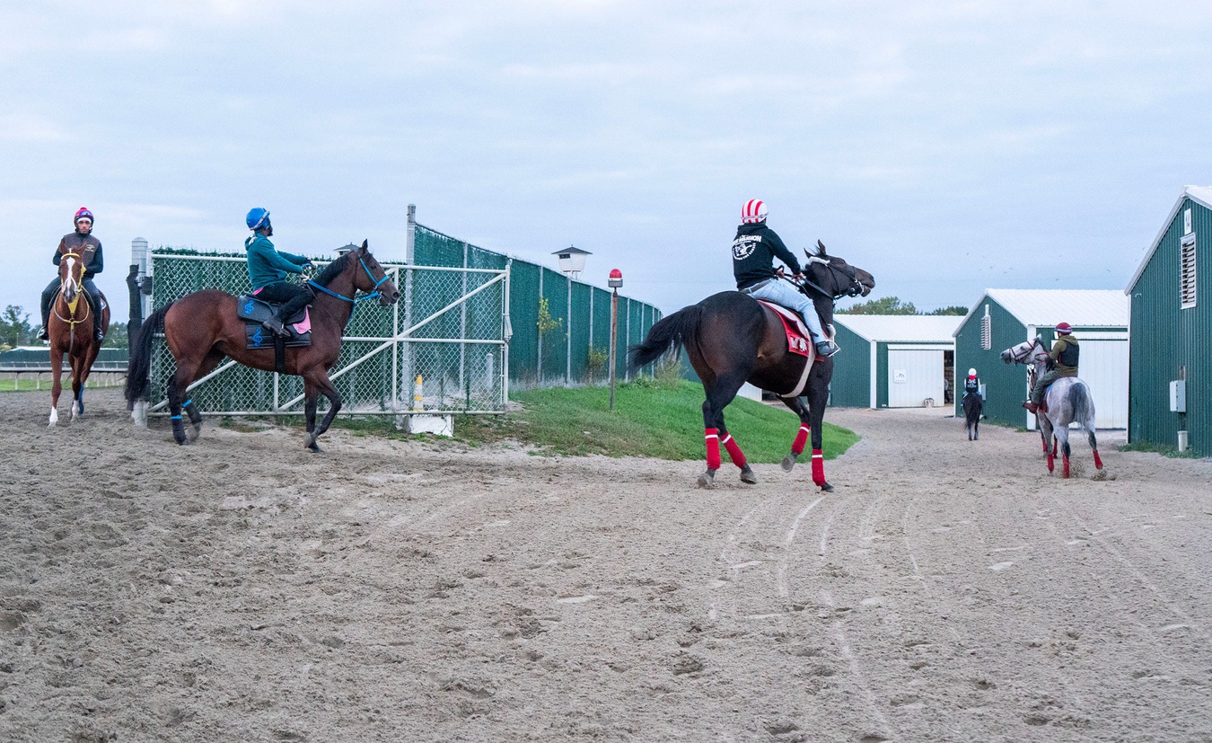 Today's Parx Racing Picks from DRF for Monday, January 12 - VSiN